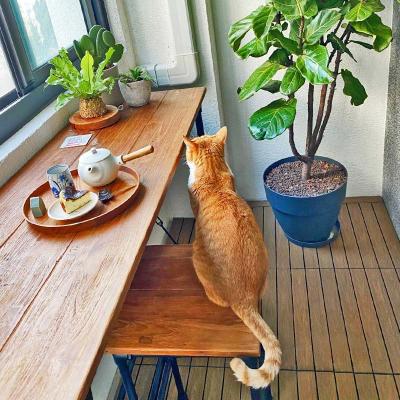 China Versatile Wood Deck Tiles Waterproof Square  For Outdoor Use for sale