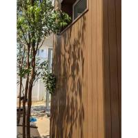 China Wood Plastic WPC Decorative Wall Panel Interior Composite Material for sale