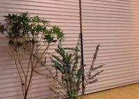 China Beautiful Triple Shangri La Curtains Blind Electric For Office for sale