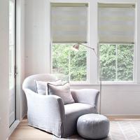 China Double Blackout Roller Zebra Blind Curtain Horizontal Style Polyester Yarn Material for sale