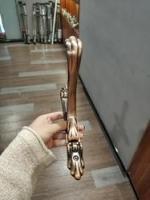 China 28mm 19mm  Heavy Duty  Anti -Copper Wall Mount Curtain Double Bracket for sale