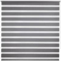 China Mildew Resistant Kitchen Zebra Blinds Blackout Waterproof Pull Bead Manual Pull Curtain for sale