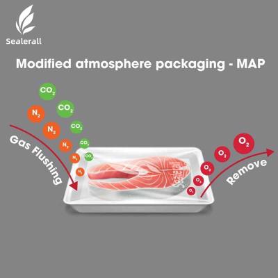 China Plastic Box Compact Tray Packing Machine Food Container Sealing Machine for sale