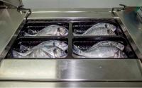 China Live Fish User Friendly MAP Plastic Box Sealing Machine Tray Sealers Food Packaging for sale