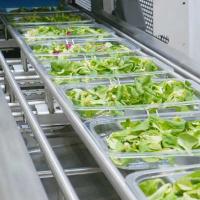 China Fresh Vegetables Map Packaging Machine Map Bag Sealer 0.5Mpa-0.6Mpa High Efficiency for sale