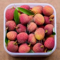 China Stainless Steel Modified Atmosphere Packaging Machine For Fresh Litchi for sale