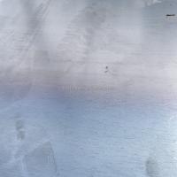 China ASTM A572 Grade 50 Hot Rolled Carbon Steel Plate 60mm Thick for Construction for sale
