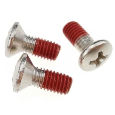 China Locking Patch Stainless Steel Nylock Screws Oval Head for PH2 Machine for sale