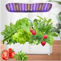 China 24w hydroponics growing system 12pods vegetable fruit home grow mini garden FULL SPECTRUM LARGE CAPACITY for sale