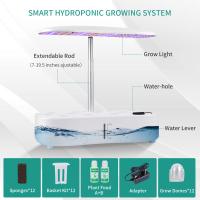 China 24w hydroponics growing system 12pods vegetable fruit home grow mini garden FULL SPECTRUM LARGE CAPACITY for sale