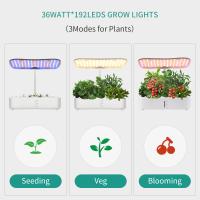 China 24w hydroponics growing system 12pods vegetable fruit home grow mini garden FULL SPECTRUM LARGE CAPACITY for sale