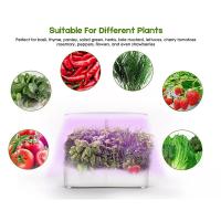 China 24w hydroponics growing system 12pods vegetable fruit home grow mini garden FULL SPECTRUM LARGE CAPACITY for sale