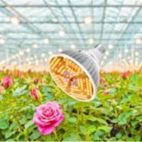 China IP44 20W Horticulture LED Grow Light Bulb For Indoor Plants 2 Years Warranty for sale