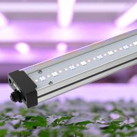 China Samsung Beads Cucumber T8 Grow Light Tubes Waterproof 60w Led Grow Light for sale
