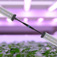 China Samsung Beads Cucumber T8 Grow Light Tubes Waterproof 60w Led Grow Light for sale