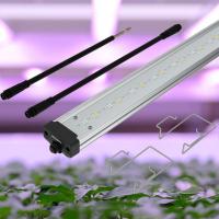 China Samsung Beads Cucumber T8 Grow Light Tubes Waterproof 60w Led Grow Light for sale