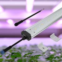 China Samsung Beads Cucumber T8 Grow Light Tubes Waterproof 60w Led Grow Light for sale