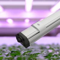 China Samsung Beads Cucumber T8 Grow Light Tubes Waterproof 60w Led Grow Light for sale