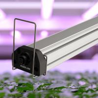 China Samsung Beads Cucumber T8 Grow Light Tubes Waterproof 60w Led Grow Light for sale