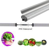 China 30Watt Medical Plants LED Grow Light Tube Full Spectrum Lamp 60cm Length for sale