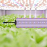 China 120cm Weed LED Grow Light Bar Full Spectrum 60W Aluminum PC Material for sale