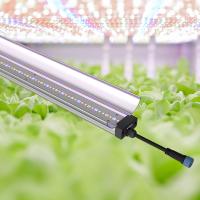 China 150cm 70W Bar Style LED Grow Lights Daisy Chain Vertical Vertical Grow Light Bar for sale