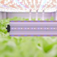 China 150cm 70W Bar Style LED Grow Lights Daisy Chain Vertical Vertical Grow Light Bar for sale