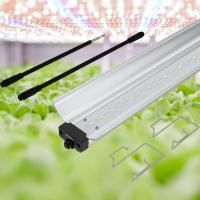 China 150cm 70W Bar Style LED Grow Lights Daisy Chain Vertical Vertical Grow Light Bar for sale