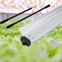 China 150cm 70W Bar Style LED Grow Lights Daisy Chain Vertical Vertical Grow Light Bar for sale
