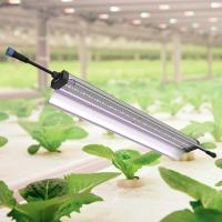 China Strawberry T8 Grow Light Tubes 45w Led Grow Light High Efficacy Waterproof for sale