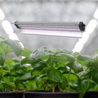 China Commercial Plants 60W High Efficiency Horticulture Led Grow Light Tube Samsung LED Diodes Daisy Chain Weed Grow Bar for sale
