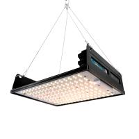 China Durable 150W Full Spectrum Led Light Panels Indoor Growing Light IP65 for sale