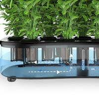 China 24 Watt Indoor Mini Garden Hydroponic Growing System 3 Mode 110-240VAC for sale