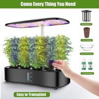 China 24 Watt Indoor Mini Garden Hydroponic Growing System 3 Mode 110-240VAC for sale