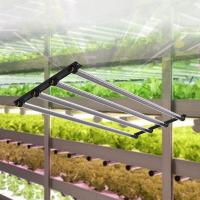 China Aluminum Seedling Led Grow Light Module Horticulture Led Module High Efficacy for sale