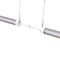 China 100W Indoor LED Interlighting Red Blue Spectra Tomato Led Grow Light for sale