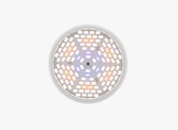 China IP44 20W Horticulture LED Grow Light Bulb For Indoor Plants 2 Years Warranty for sale