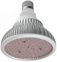 China IP44 20W Horticulture LED Grow Light Bulb For Indoor Plants 2 Years Warranty for sale