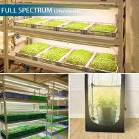 China Plants Seedling 4ft LED Grow Light Tubes 18W for Hydroponics Herbs Microgreen Grow 120° Beam Angle Grow Racks for sale