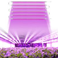 China UVA Strawberry UV Grow Light Tube 24W Waterproof Indoor Vegetable Tomato Grow Light Cucumber for sale