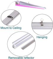 China 70W Strawberry LED Grow Light Tube 150cm Max Coverage Tomatoes for sale