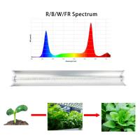 China 70W Strawberry LED Grow Light Tube 150cm Max Coverage Tomatoes for sale