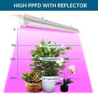 China 70W Strawberry LED Grow Light Tube 150cm Max Coverage Tomatoes for sale