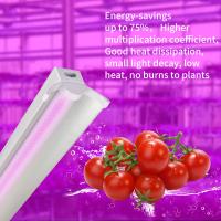 China 70W Strawberry LED Grow Light Tube 150cm Max Coverage Tomatoes for sale