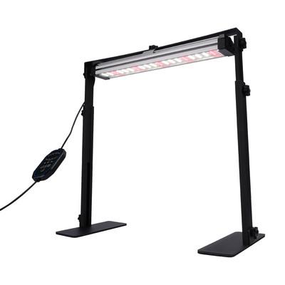 China 110-277VAC Hydroponic Growing System For Kitchen Garden Energy Efficient for sale
