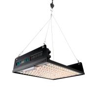 China ROHS Sturdy 150 Watt LED Grow Light Panel With Timing Plug And Play Installation for sale