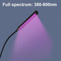 China FCC IP44 RED Blue Floor LED Plant Lamp Floor Grow Lamp For Indoor Plants for sale