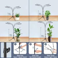 China FCC IP44 RED Blue Floor LED Plant Lamp Floor Grow Lamp For Indoor Plants for sale