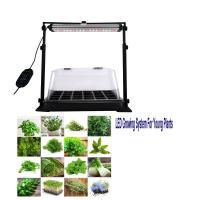 China 110-277VAC Hydroponic Growing System For Kitchen Garden Energy Efficient for sale