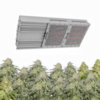 China 1000W greenhouse horticulture toplight indoor plants high efficiency IP65 HPS replacement Cusmotized Spectrum for sale